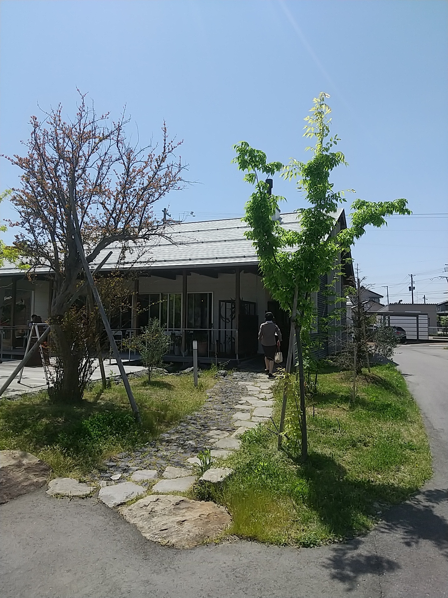 ピノキオ(加茂)&ラジェンマ: 新発田で楽しい読書生活&食生活